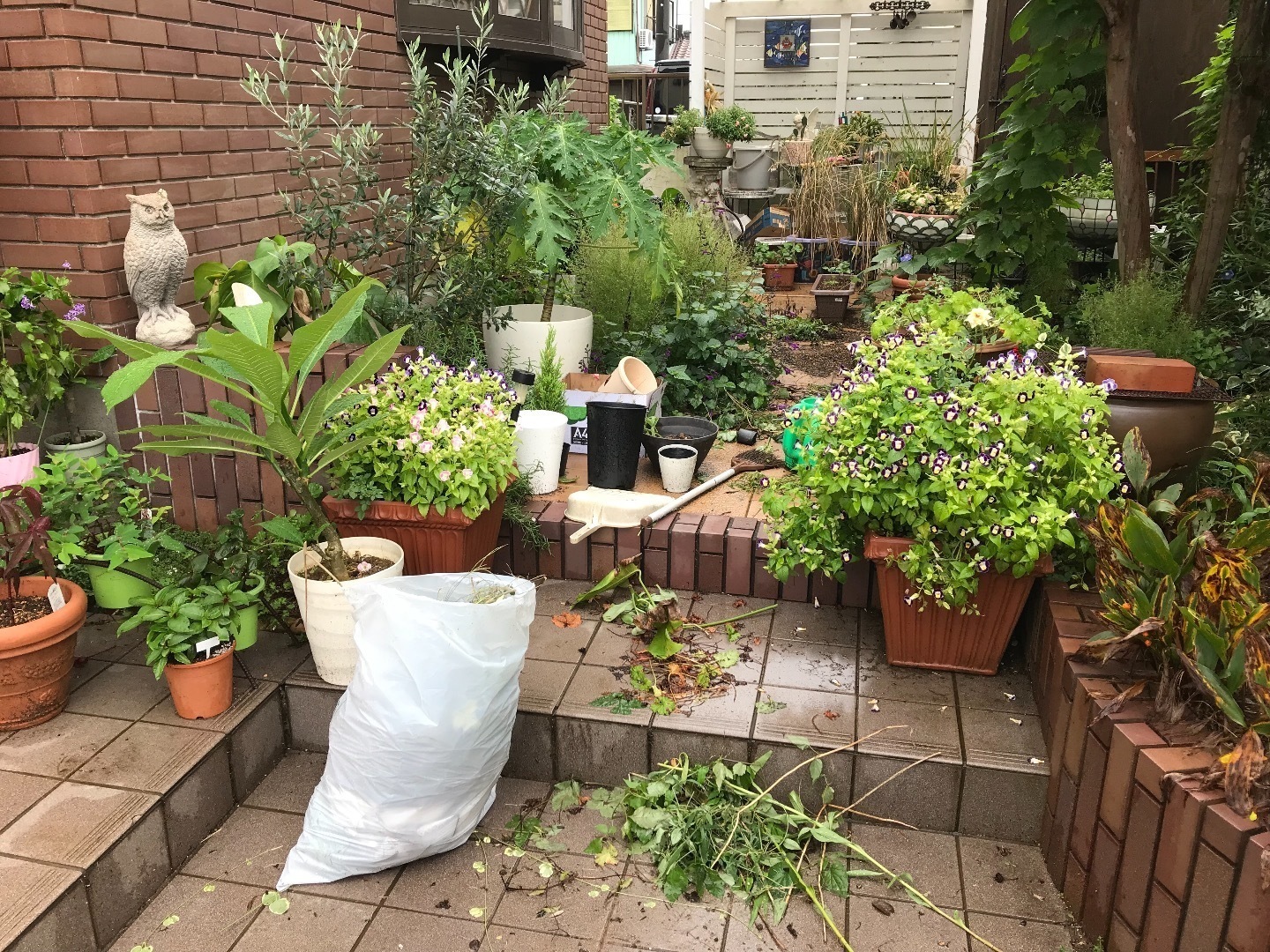 庭仕事: 主婦が作るステンドグラスの世界