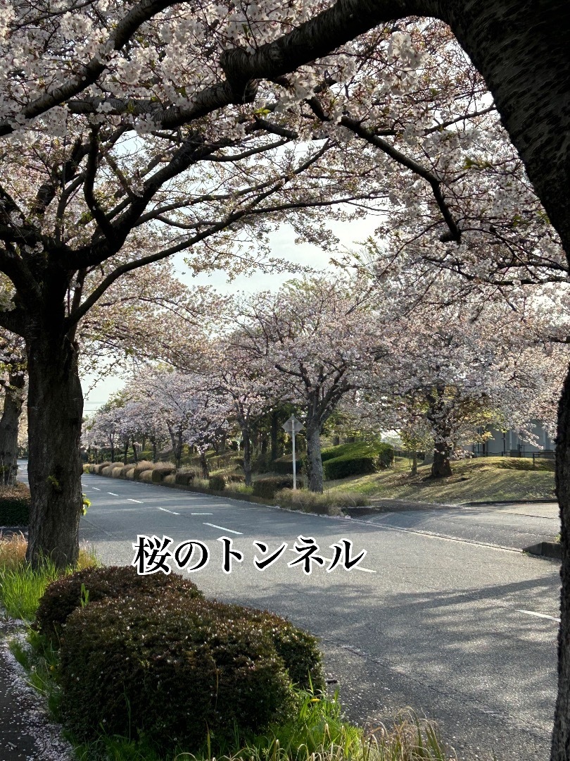 4月13日 土曜日: 主婦が作るステンドグラスの世界