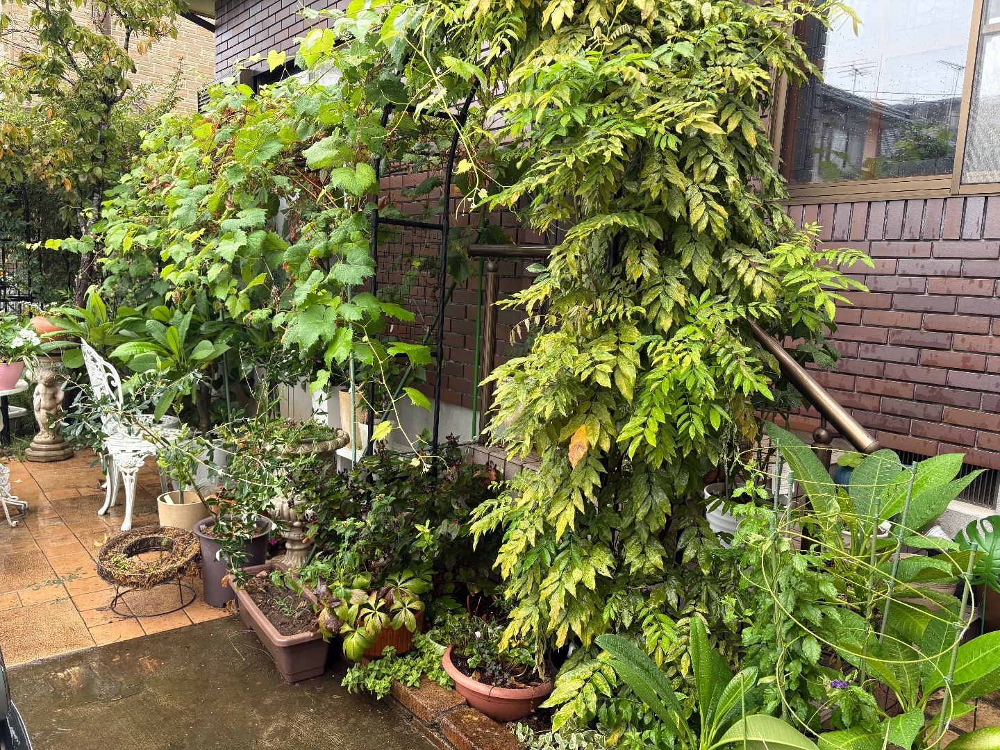 台風の影響で、、、: 主婦が作るステンドグラスの世界