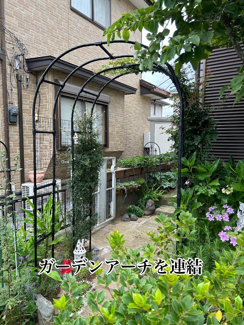 メダカの産卵、孵化: 主婦が作るステンドグラスの世界