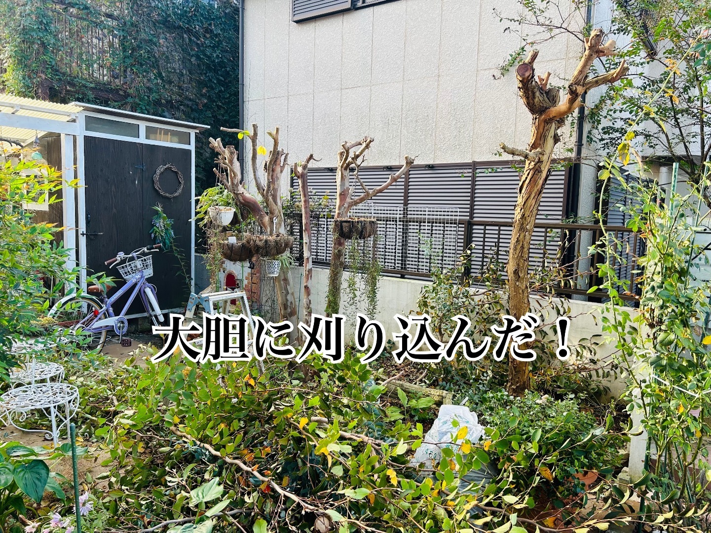 11月1日 金曜日: 主婦が作るステンドグラスの世界