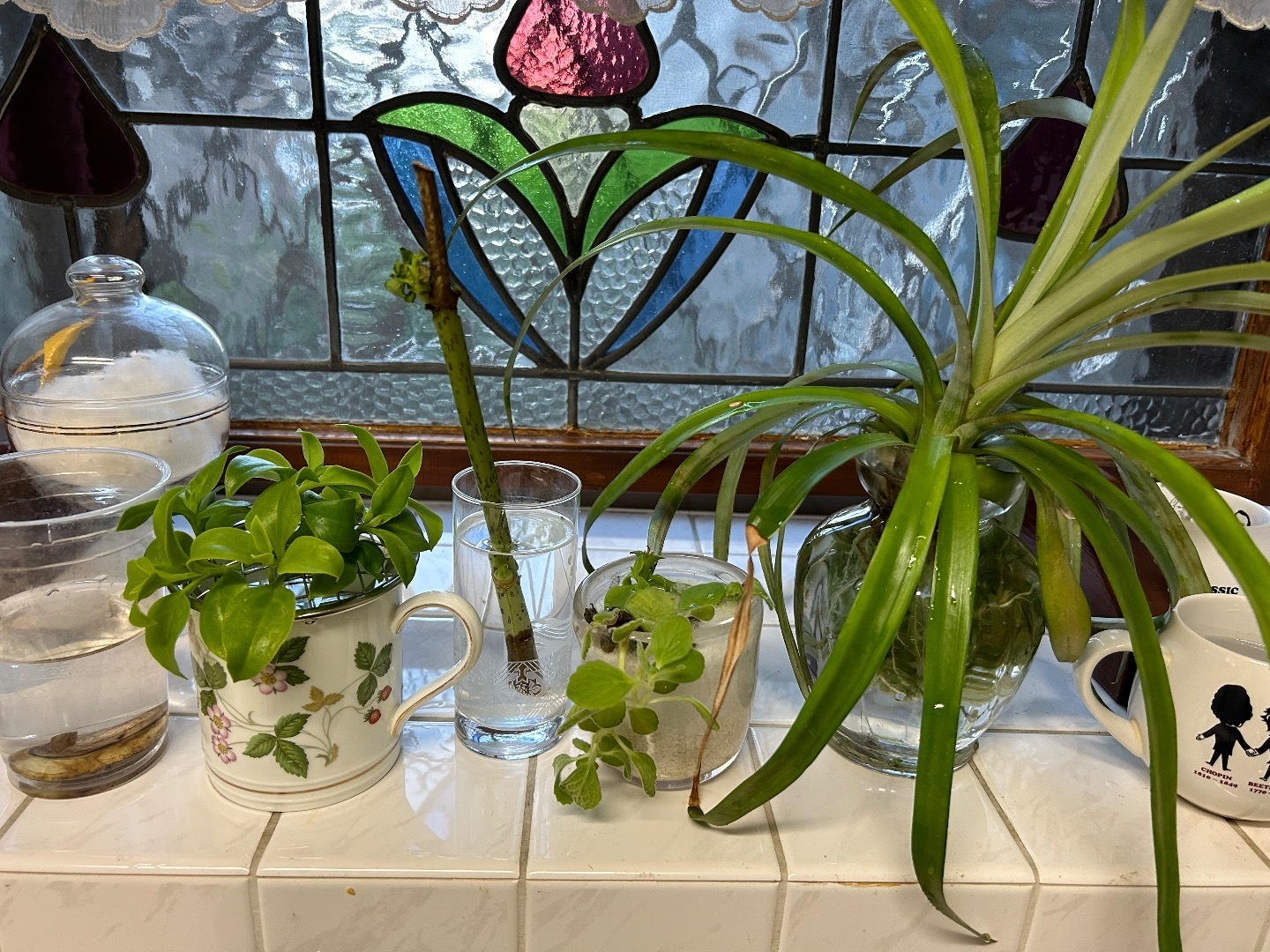 ボウフラ: 主婦が作るステンドグラスの世界