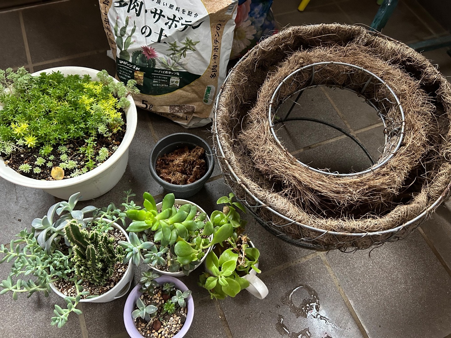 あっという間に、、、: 主婦が作るステンドグラスの世界