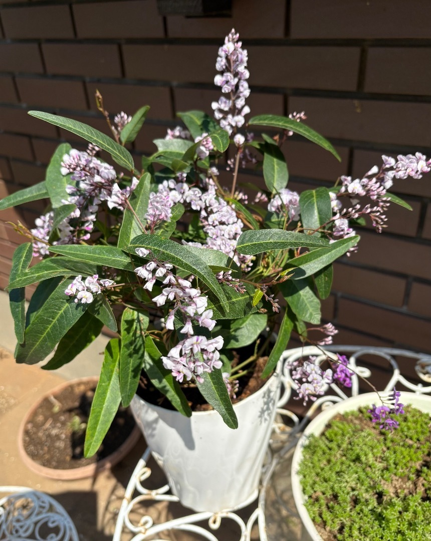 春のそよ風: 主婦が作るステンドグラスの世界