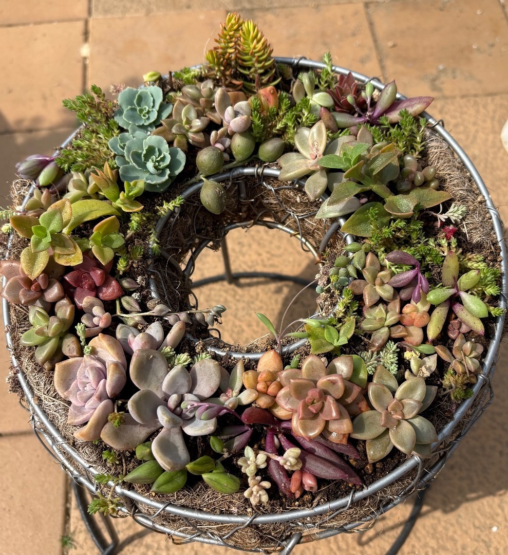 金のなる木: 主婦が作るステンドグラスの世界